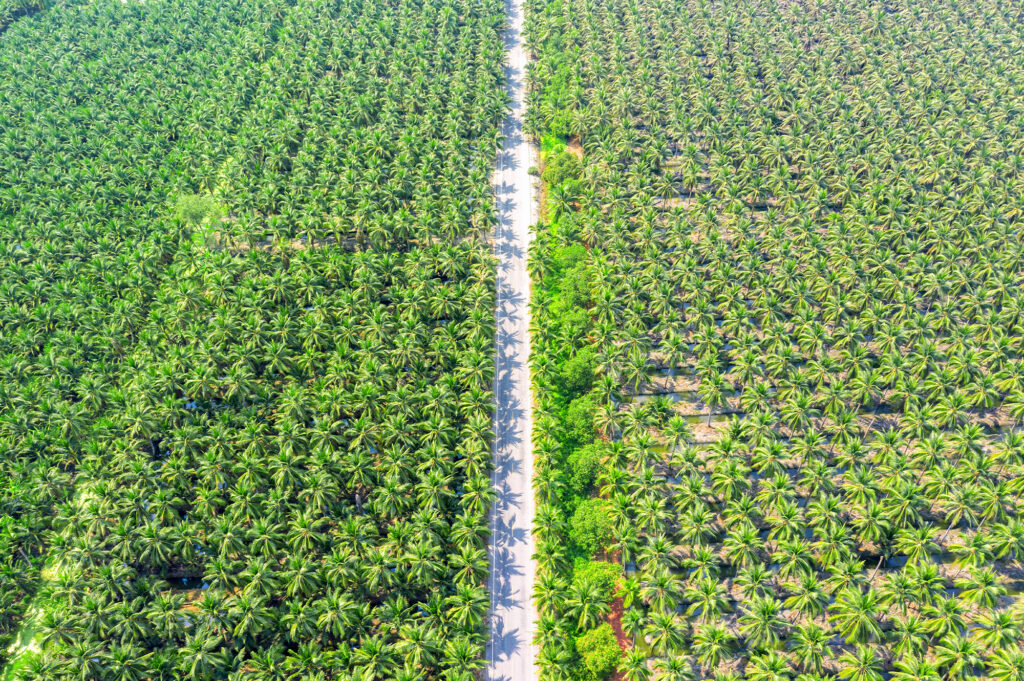 Costa Rica - ExcelAg