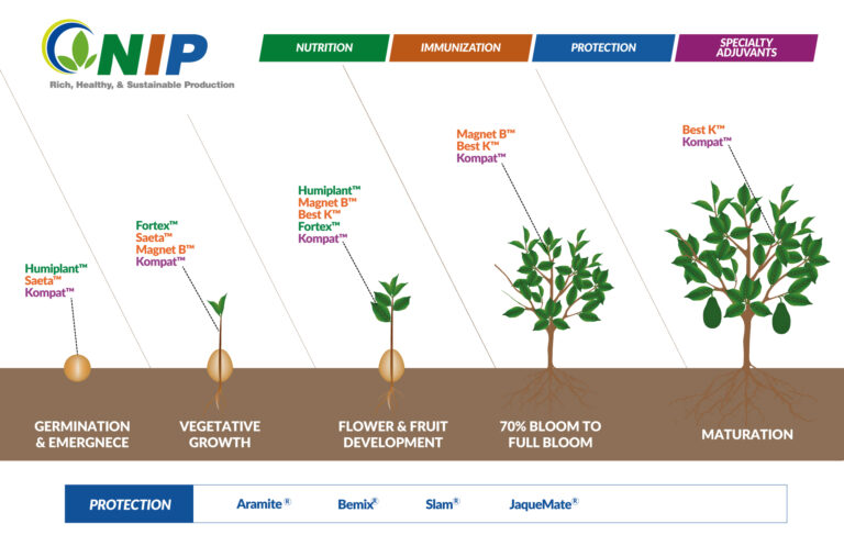 Avocado NIP Crop Program by ExcelAg