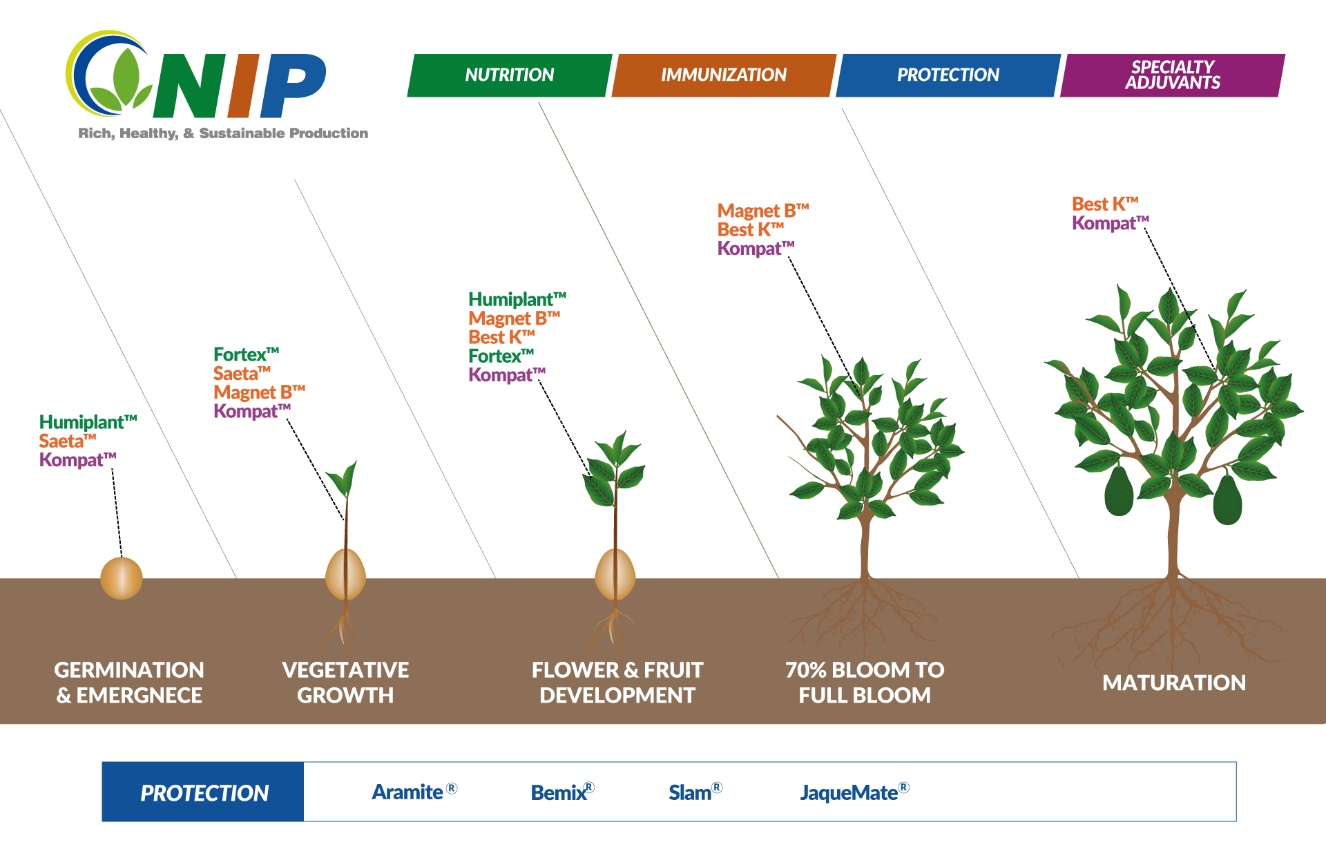 Avocado NIP Crop Program by ExcelAg